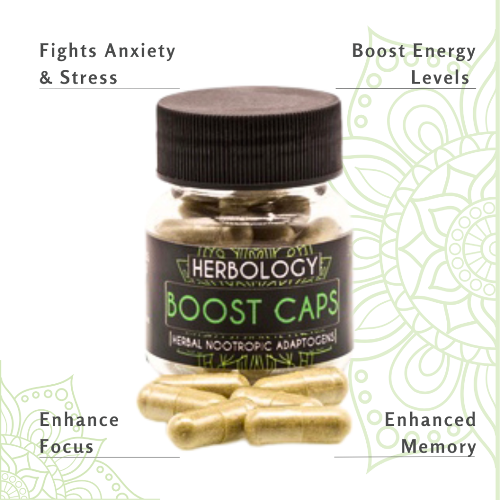 Herbal Medicinal Capsules Archives | Herbology South Africa