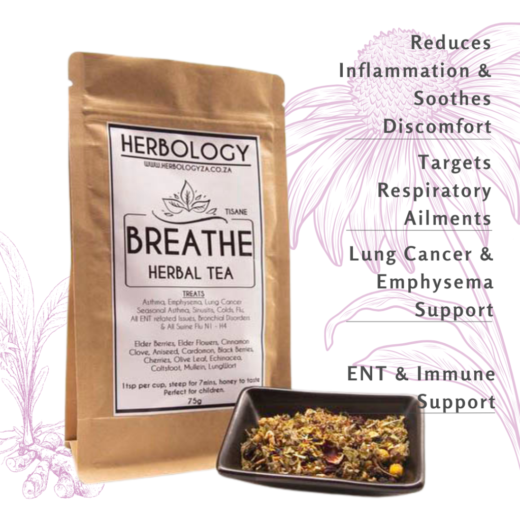 Herbology Breathe Tea: Natural Respiratory & Immune Support