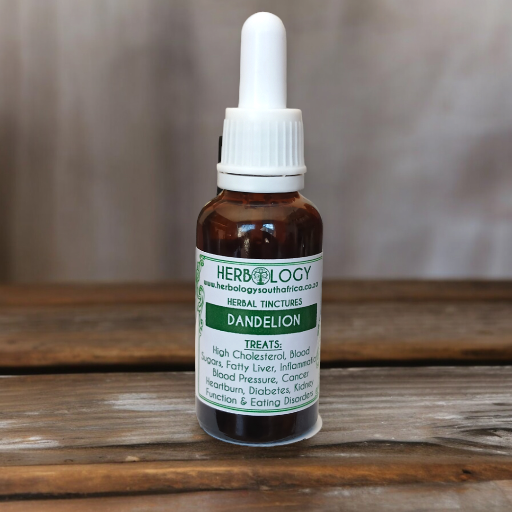 Dandelion Root Tincture | Herbology South Africa